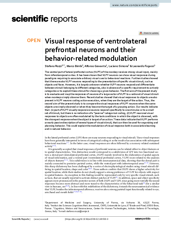 (PDF) Visual response of ventrolateral prefrontal neurons and their behavior-related modulation