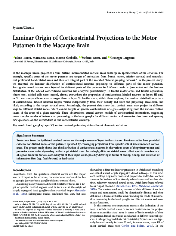 (PDF) Laminar Origin of Corticostriatal Projections to the Motor ...