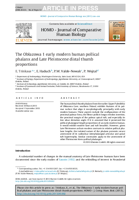 (PDF) The Obłazowa 1 early modern human pollical phalanx and Late ...