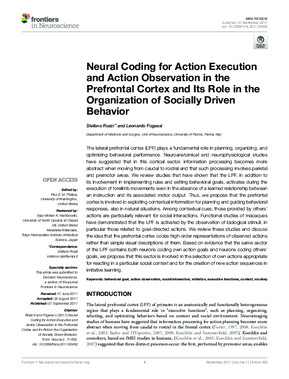 Pdf Neural Coding For Action Execution And Action Observation In The Prefrontal Cortex And Its