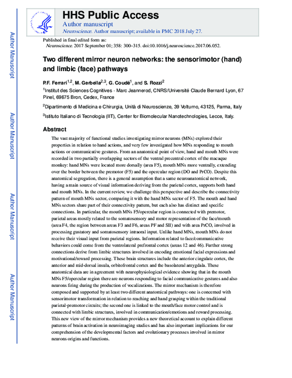 (PDF) Two different mirror neuron networks: The sensorimotor (hand) and limbic (face) pathways
