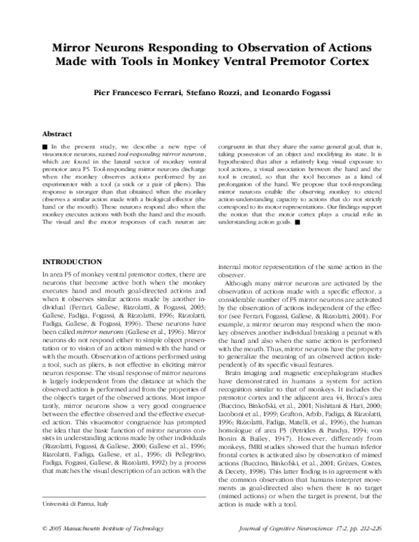 (PDF) Mirror Neurons Responding to Observation of Actions Made with Tools in Monkey Ventral ...