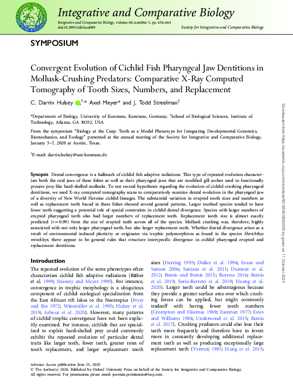 (PDF) Convergent Evolution of Cichlid Fish Pharyngeal Jaw Dentitions in ...