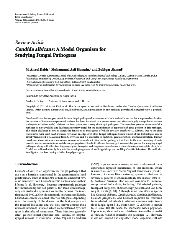 (PDF) Candida albicans: A Model Organism for Studying Fungal Pathogens