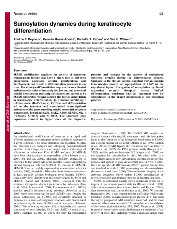 (PDF) Sumoylation dynamics during keratinocyte differentiation | German Rosas-Acosta - Academia.edu