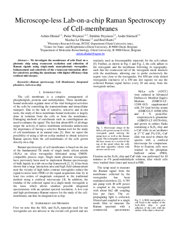 (PDF) Microscope-less lab-on-a-chip Raman spectroscopy of cell-membranes