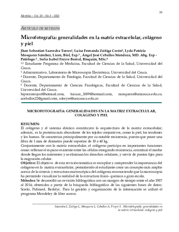 Pdf Microfotografía Generalidades En La Matriz Extracelular