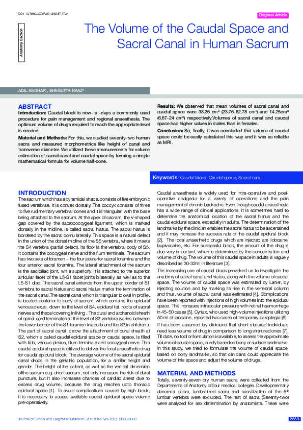 (PDF) The Volume of the Caudal Space and Sacral Canal in Human Sacrum ...