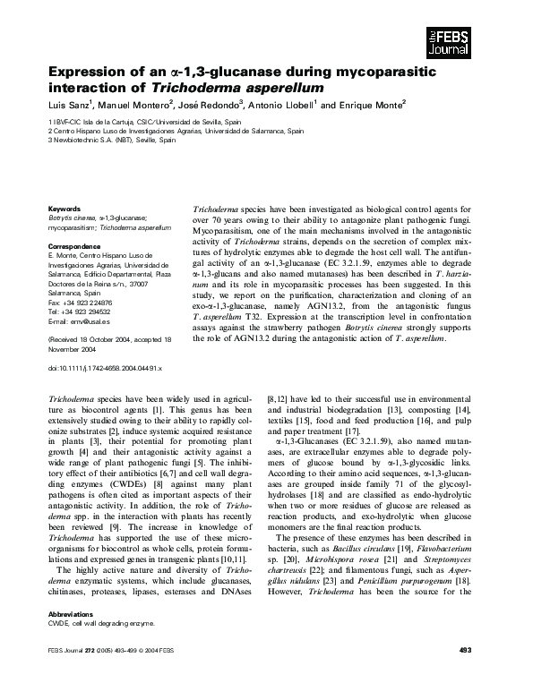 (PDF) Expression of an α-1,3-glucanase during mycoparasitic interaction of Trichoderma asperellum