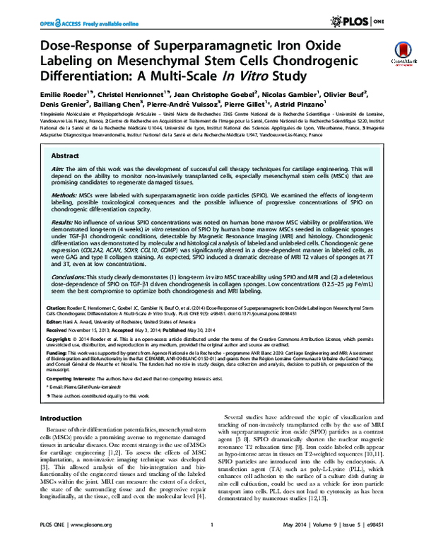 (PDF) Dose-Response of Superparamagnetic Iron Oxide Labeling on ...