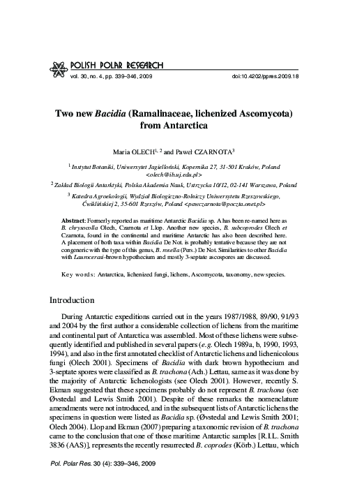 (PDF) Two new Bacidia (Ramalinaceae, lichenized Ascomycota) from Antarctica