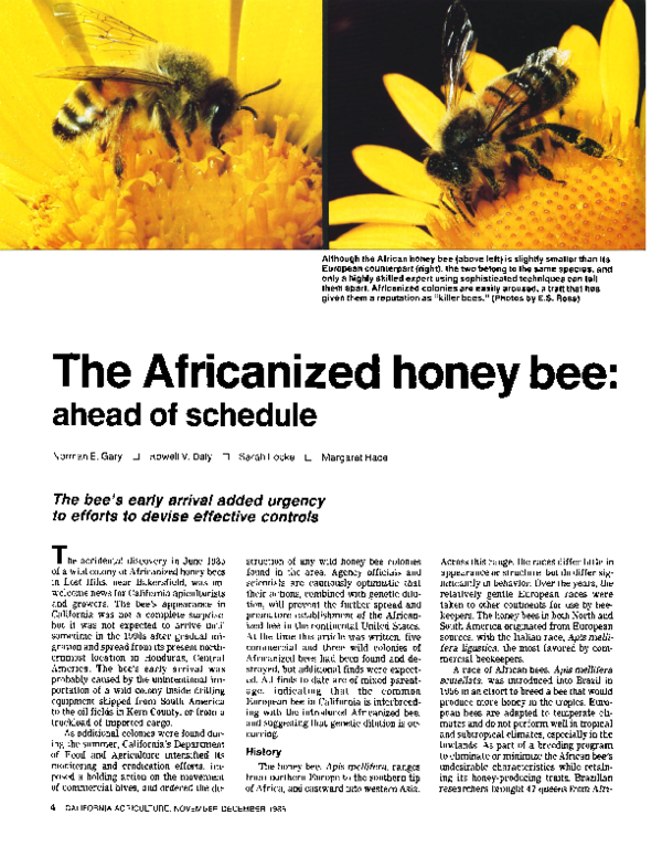(PDF) The Africanized honey bee: ahead of schedule
