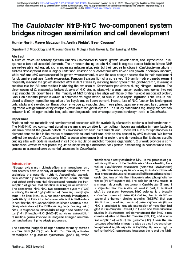 (PDF) TheCaulobacterNtrB-NtrC two-component system bridges nitrogen ...