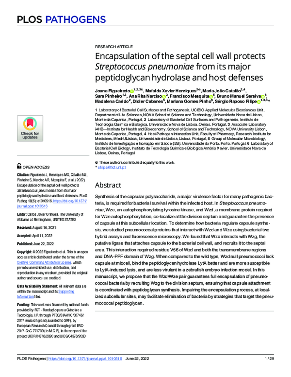 (PDF) Encapsulation of the septal cell wall protects Streptococcus ...
