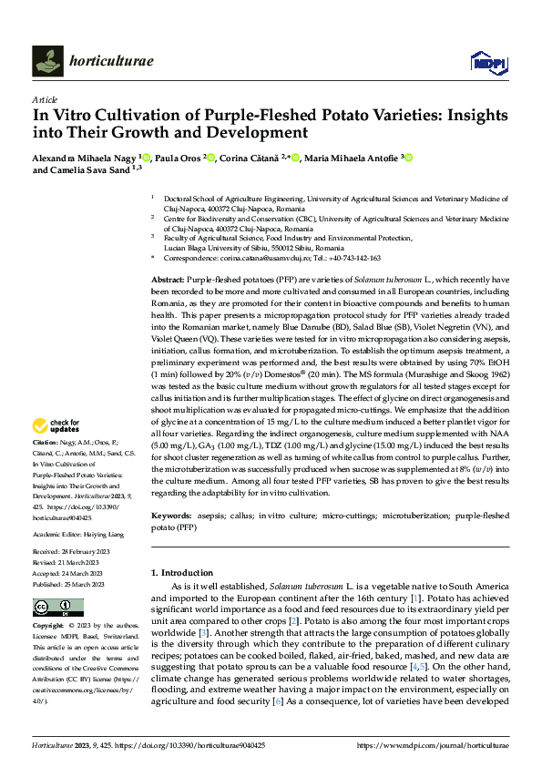 (PDF) In Vitro Cultivation of Purple-Fleshed Potato Varieties: Insights ...