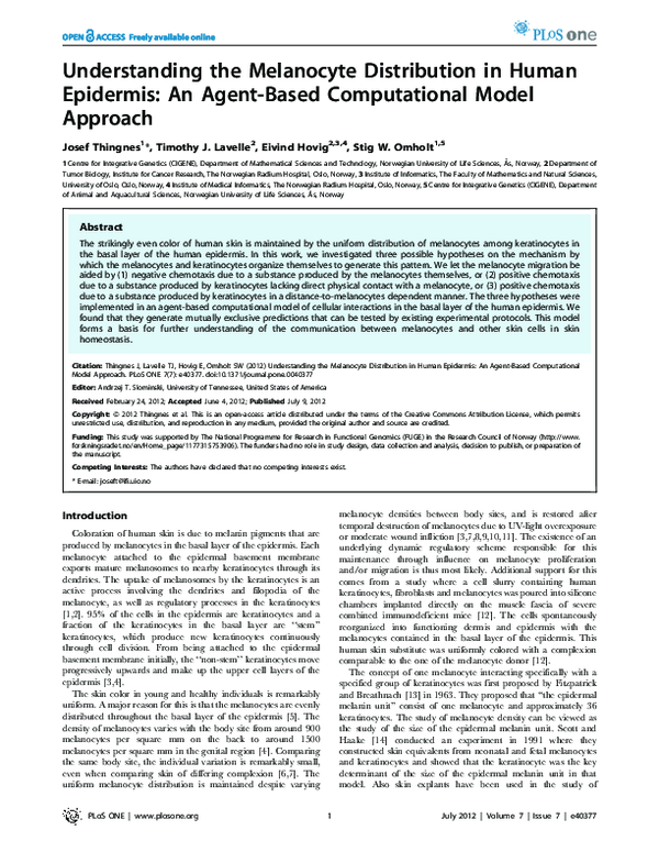 (PDF) Understanding the Melanocyte Distribution in Human Epidermis: An Agent-Based Computational ...