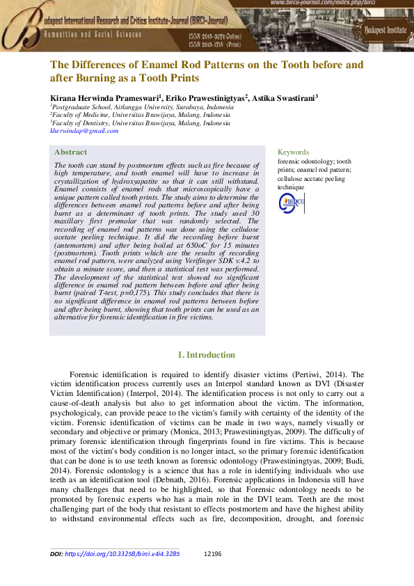(PDF) The Differences of Enamel Rod Patterns on the Tooth before and ...