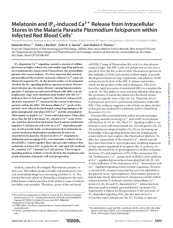 (PDF) Melatonin and IP3-induced Ca2+ Release from Intracellular Stores ...