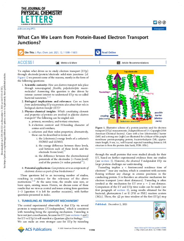 (PDF) What Can We Learn from Protein-Based Electron Transport Junctions?