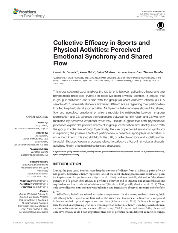 (PDF) Collective Efficacy in Sports and Physical Activities: Perceived ...
