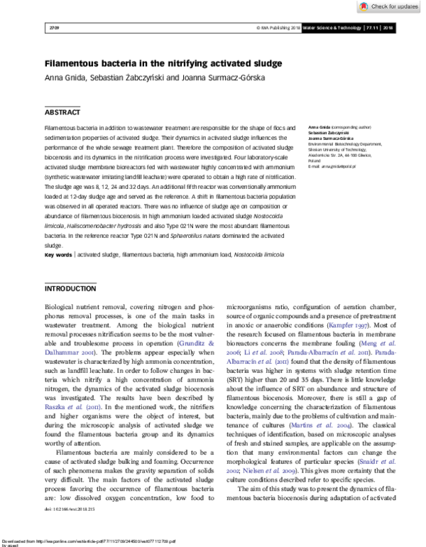 (PDF) Filamentous bacteria in the nitrifying activated sludge
