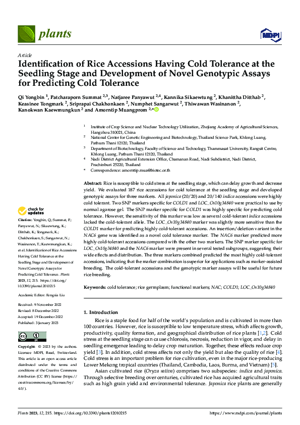 (PDF) Identification of Rice Accessions Having Cold Tolerance at the ...
