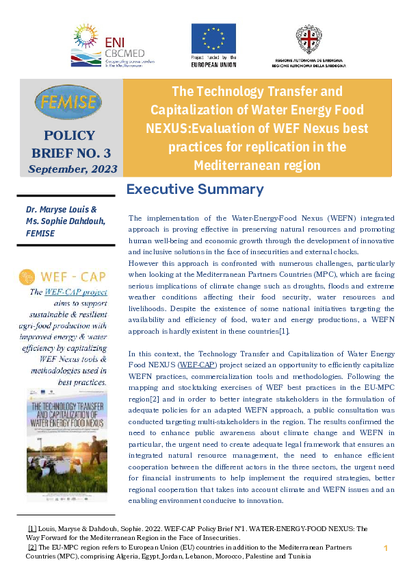 (PDF) The Technology Transfer and Capitalization of Water Energy Food ...