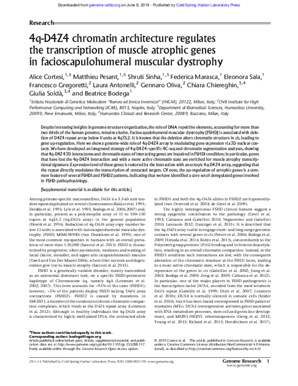 (PDF) 4q-D4Z4 chromatin architecture regulates the transcription of ...