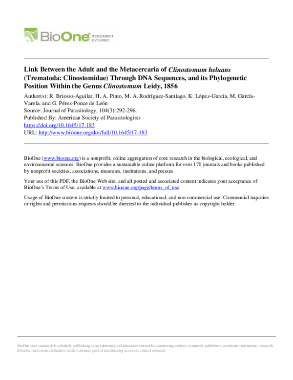 (PDF) Phylogenetic Relationship of Clinostomum heluans