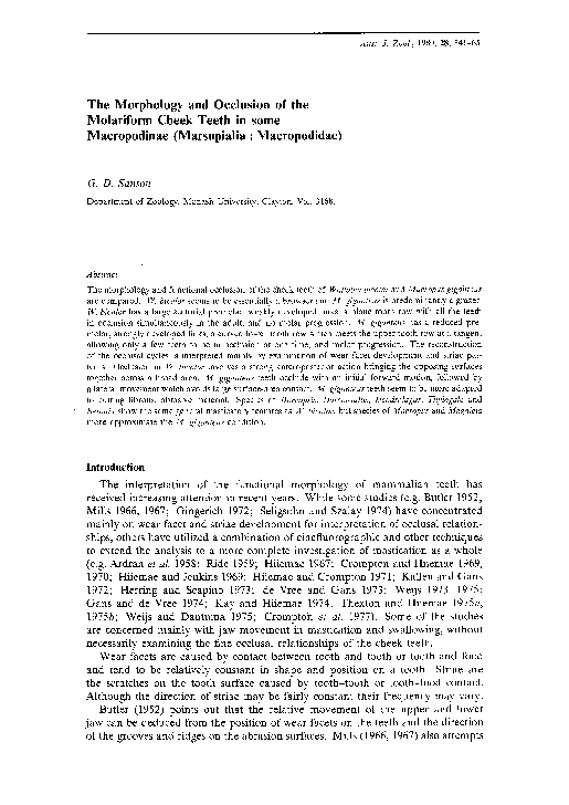 (PDF) The Morphology and Occlusion of the Molariform Cheek Teeth in ...