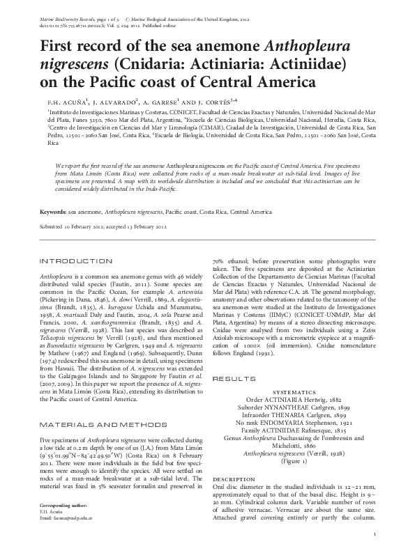 (PDF) First record of the sea anemone Anthopleura nigrescens (Cnidaria ...