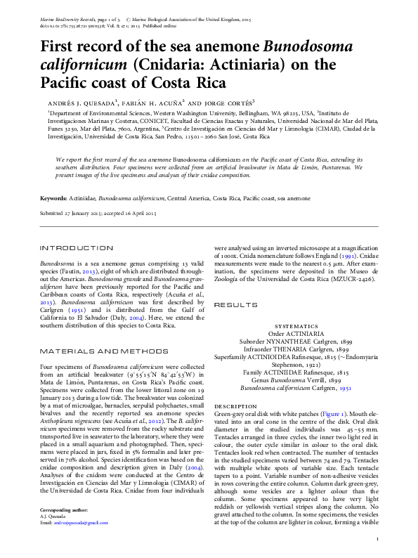 (PDF) First record of the sea anemone Bunodosoma californicum (Cnidaria ...