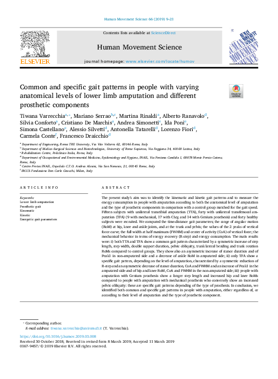 (PDF) Common and specific gait patterns in people with varying anatomical levels of lower limb ...