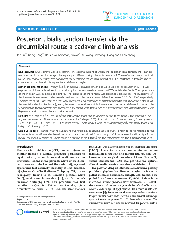 (PDF) Posterior tibialis tendon transfer via the circumtibial route: a ...