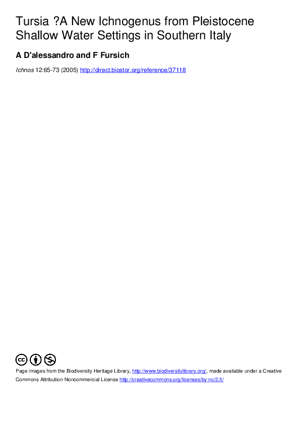 (PDF) Tursia—A New Ichnogenus from Pleistocene Shallow Water Settings ...