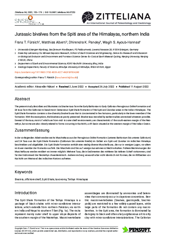 (PDF) ﻿Jurassic bivalves from the Spiti area of the Himalayas, northern ...