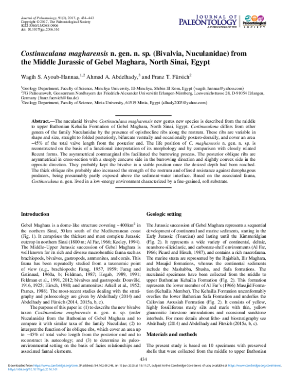 (PDF) Costinuculana magharensis n. gen. n. sp. (Bivalvia, Nuculanidae ...