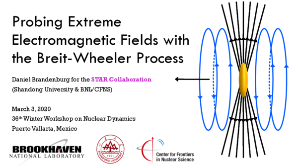 (PDF) Probing Extreme Electromagnetic Fields with the Breit-Wheeler Process | N. Chankova ...