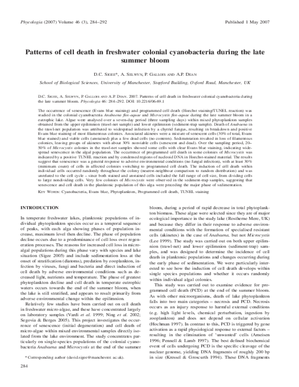 (PDF) Patterns of cell death in freshwater colonial cyanobacteria ...