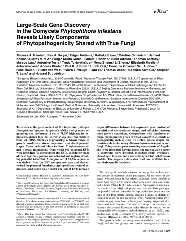 (PDF) Large-Scale Gene Discovery in the Oomycete Phytophthora infestans ...