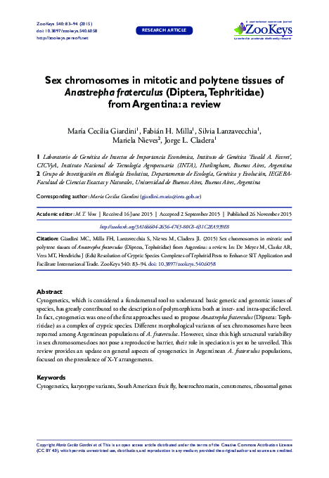 Pdf Sex Chromosomes In Mitotic And Polytene Tissues Of Anastrepha