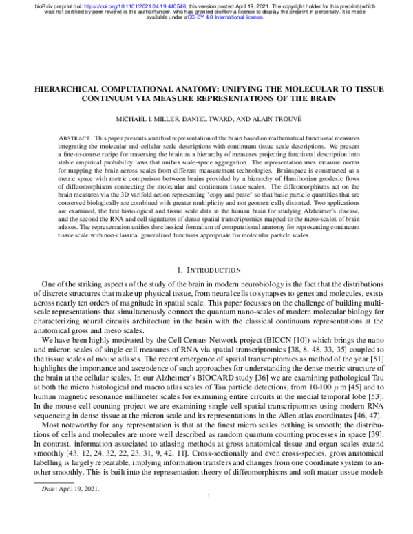 (PDF) Hierarchical Computational Anatomy: Unifying the Molecular to ...