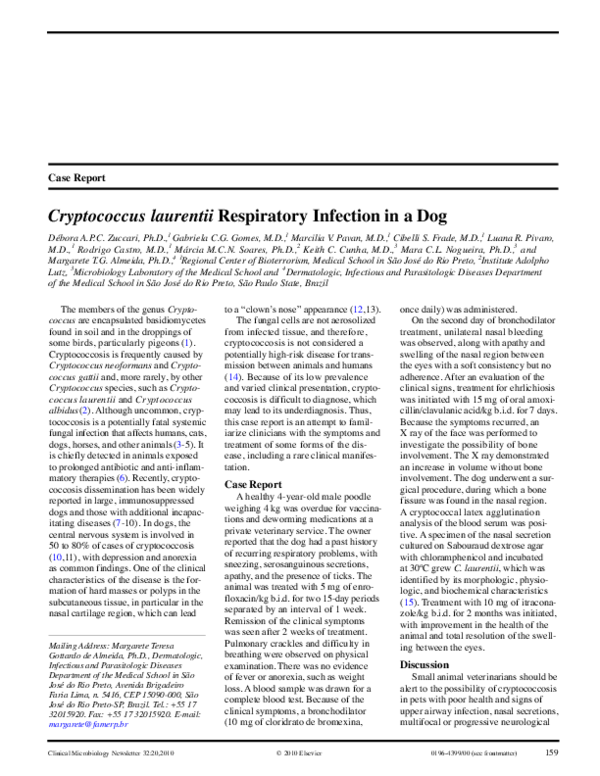 (PDF) Cryptococcus laurentii Respiratory Infection in a Dog