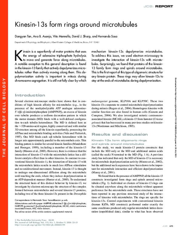 (PDF) Kinesin-13s form rings around microtubules