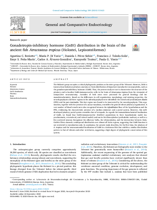 (PDF) Gonadotropin-inhibitory hormone (GnIH) distribution in the brain ...