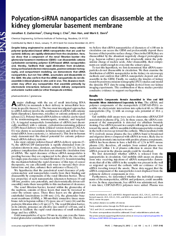 (PDF) Polycation-siRNA nanoparticles can disassemble at the kidney ...
