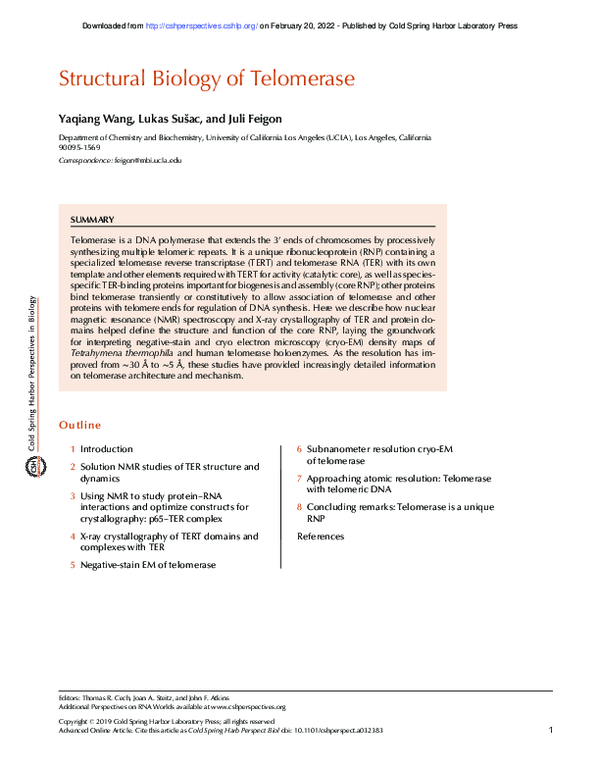 (PDF) Telomere and Telomerase Biology