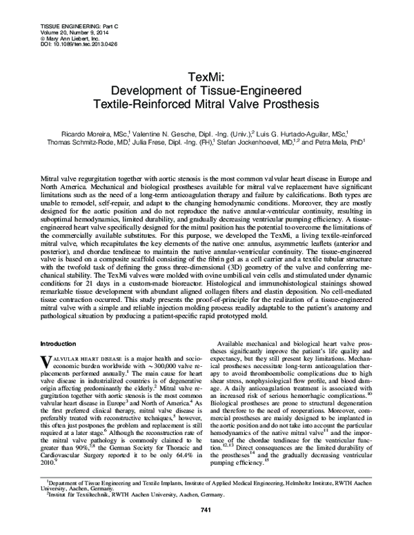 (PDF) TexMi: Development of Tissue-Engineered Textile-Reinforced Mitral ...
