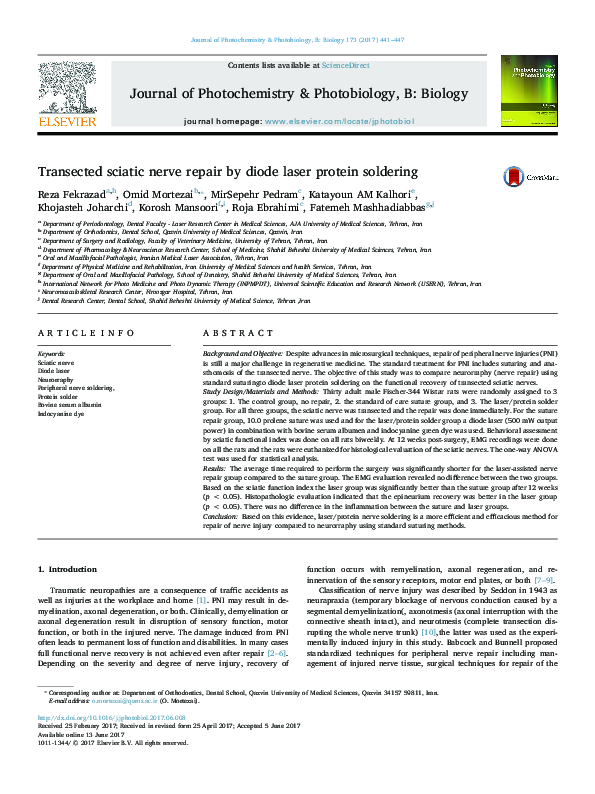 (PDF) Transected sciatic nerve repair by diode laser protein soldering
