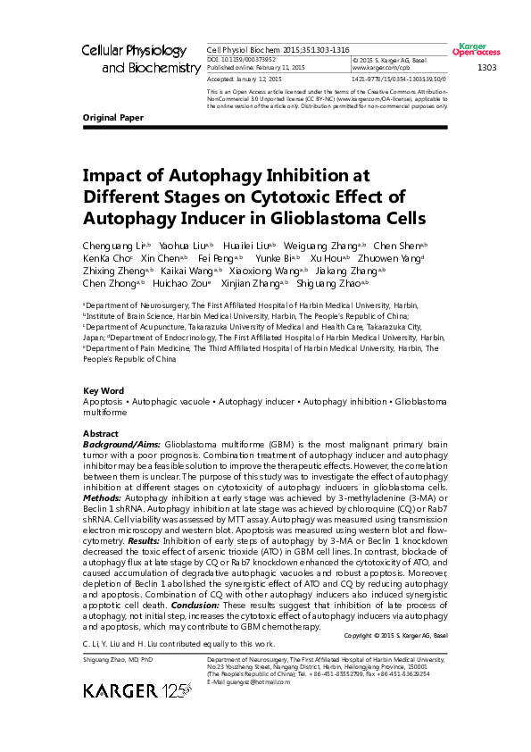 (PDF) Impact of Autophagy Inhibition at Different Stages on Cytotoxic ...